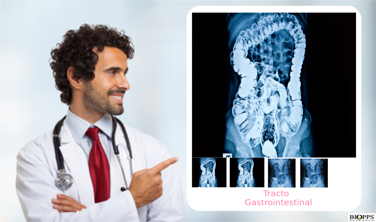 Sulfato de Bario | Médico - Medio de Contraste Baritado en México